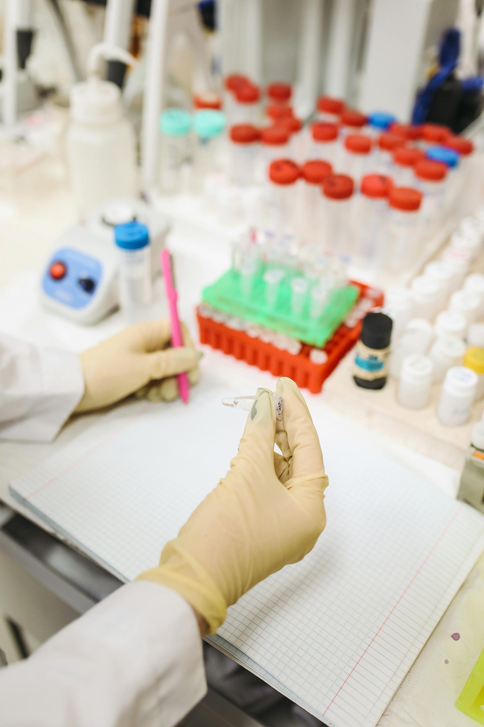 Chitooligosaccharides Modulate IgA Nephropathy Pathology by Targeting ...